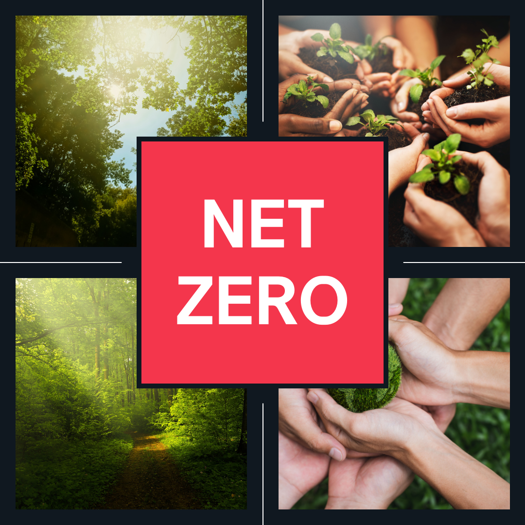 The Electric Road to Net Zero - PoGo Charge