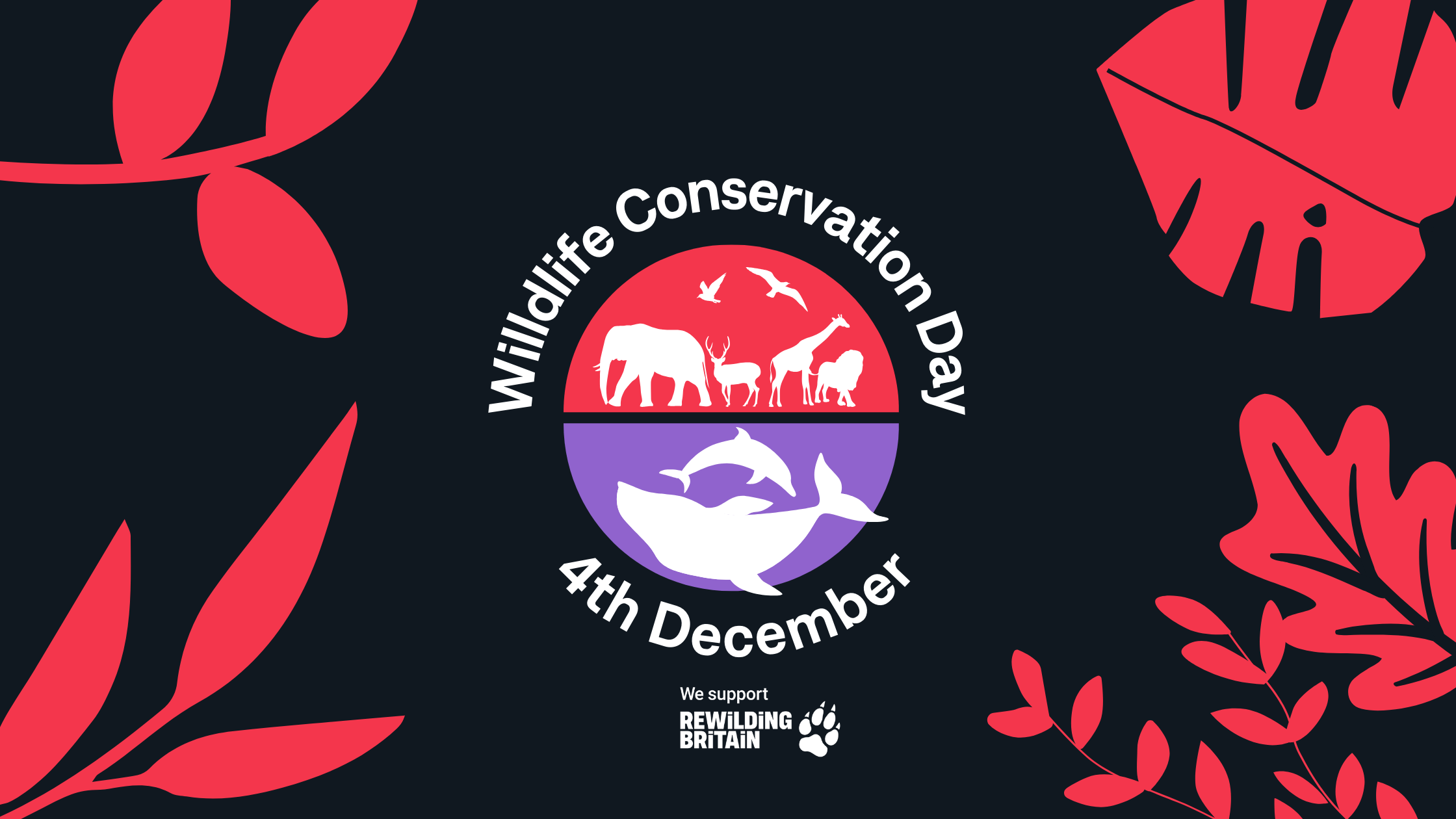Celebrating Wildlife Conservation Day: Our Commitment to Protecting ...